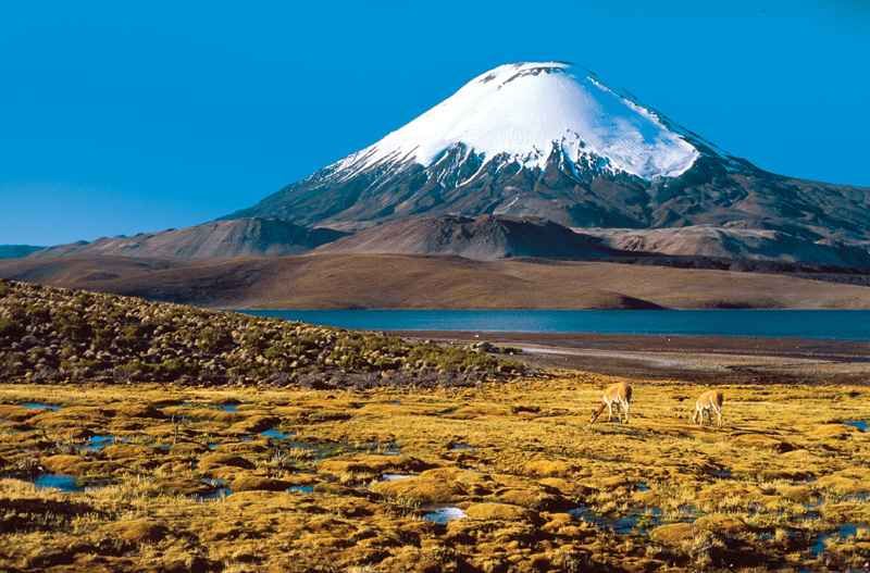 Lago Chungará – Chungará Chile