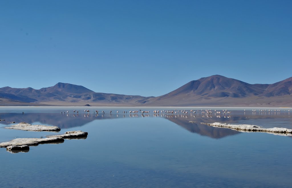 Laguna del Huasco