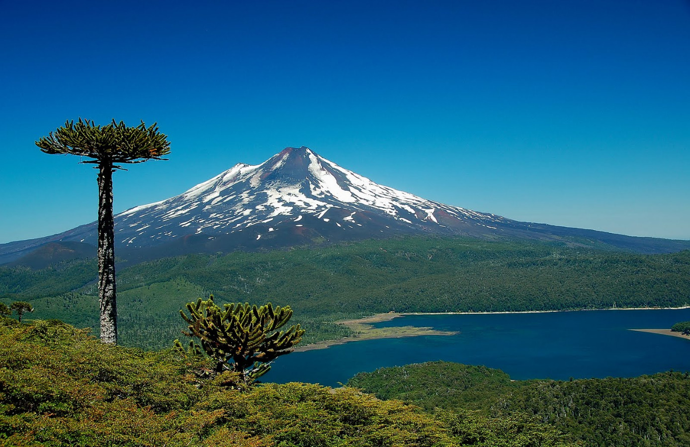 Conguillio National Park Araucania Andina Chile