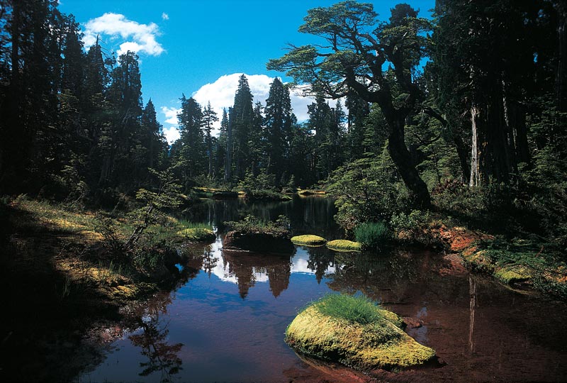 Parque Nacional Hornopirén – Ruta Austral Puelo-Futaleufu Chile