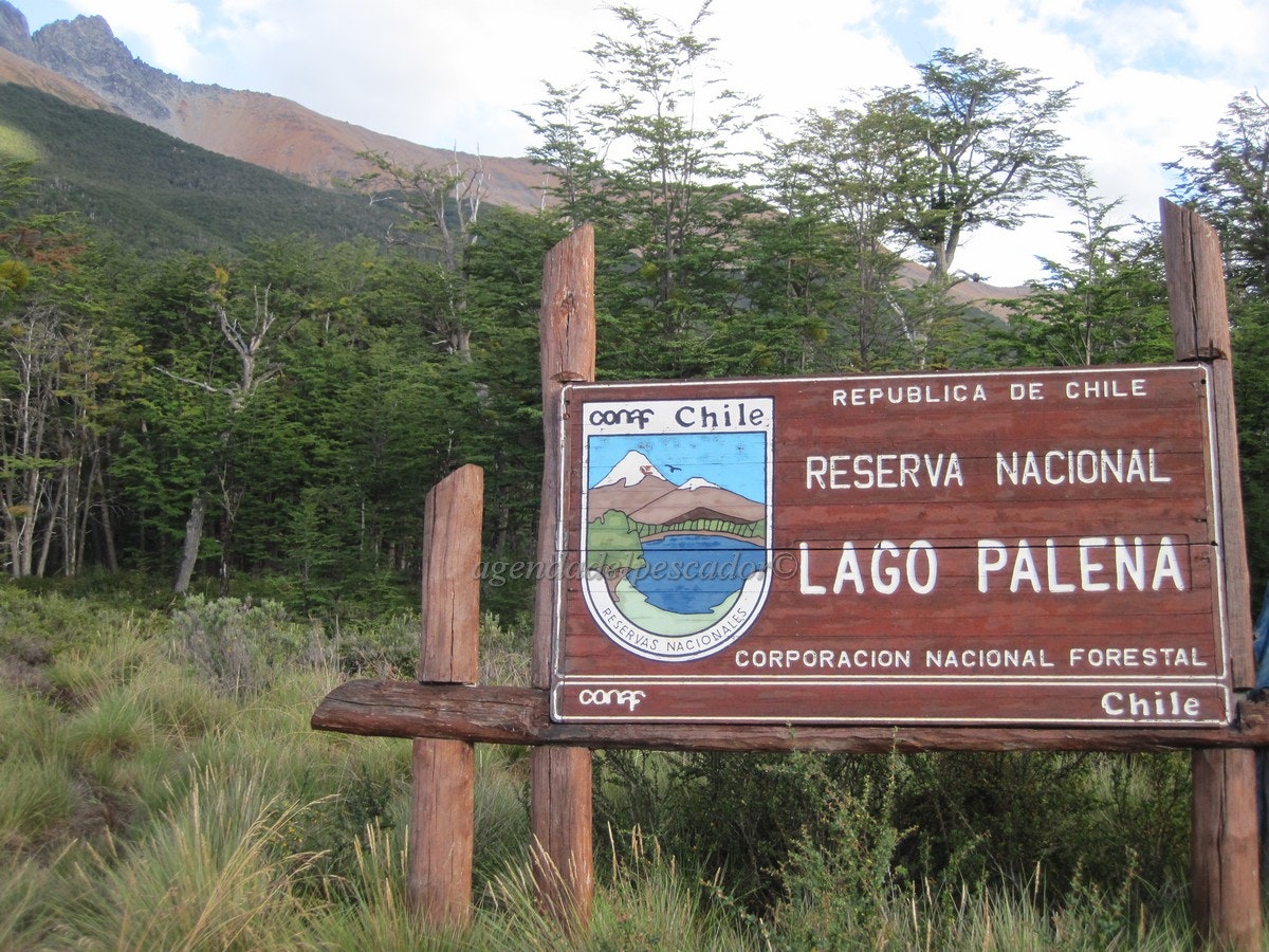 Reserva Nacional Palena – Ruta Austral Puelo-Futaleufu Chile
