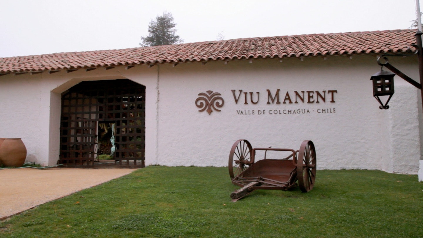 Viu Manent Vine – Colchagua Valley Chile.