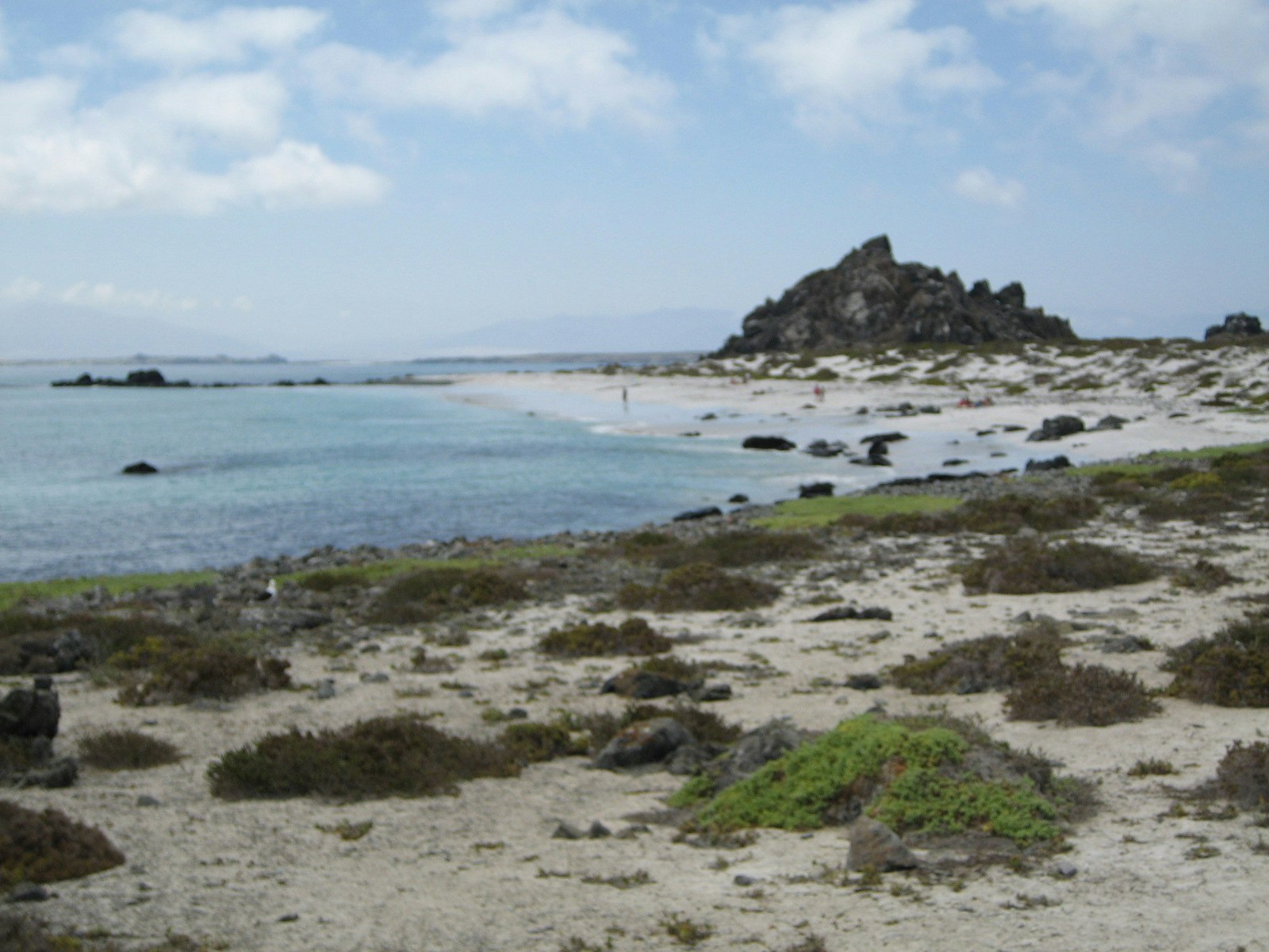 Tour a Isla Damas, La Serena Chile. Excursiones y Hoteles en Coquimbo y ...