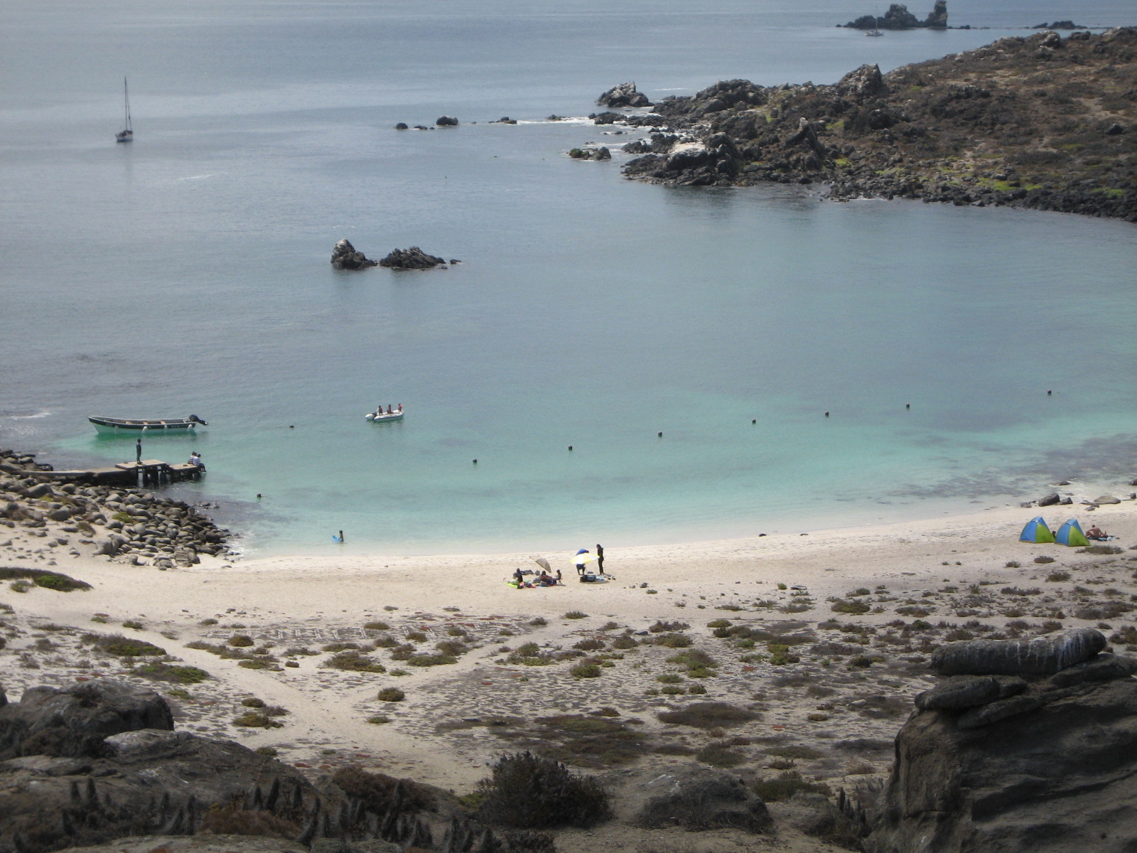 Tour a Isla Damas, La Serena Chile. Excursões e Hotéis em Coquimbo e La ...